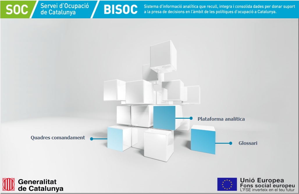 BISOC: un instrument per transformar les dades en coneixement vàlid i ...